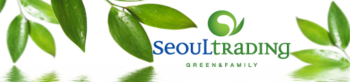 @newintra.seoulgrocery.com